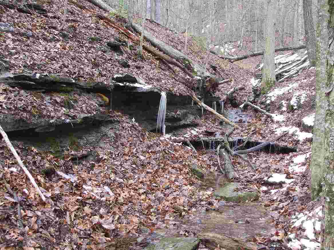 Reeder Custom Guns - Lynn, the fellow that keeps track of the animals ...