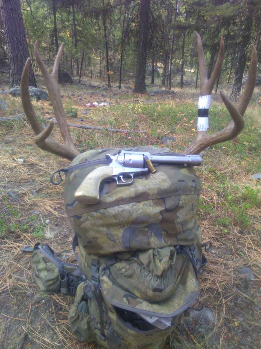 Reeder Custom Guns - A real nice Mule deer buck taken by Chester Mast