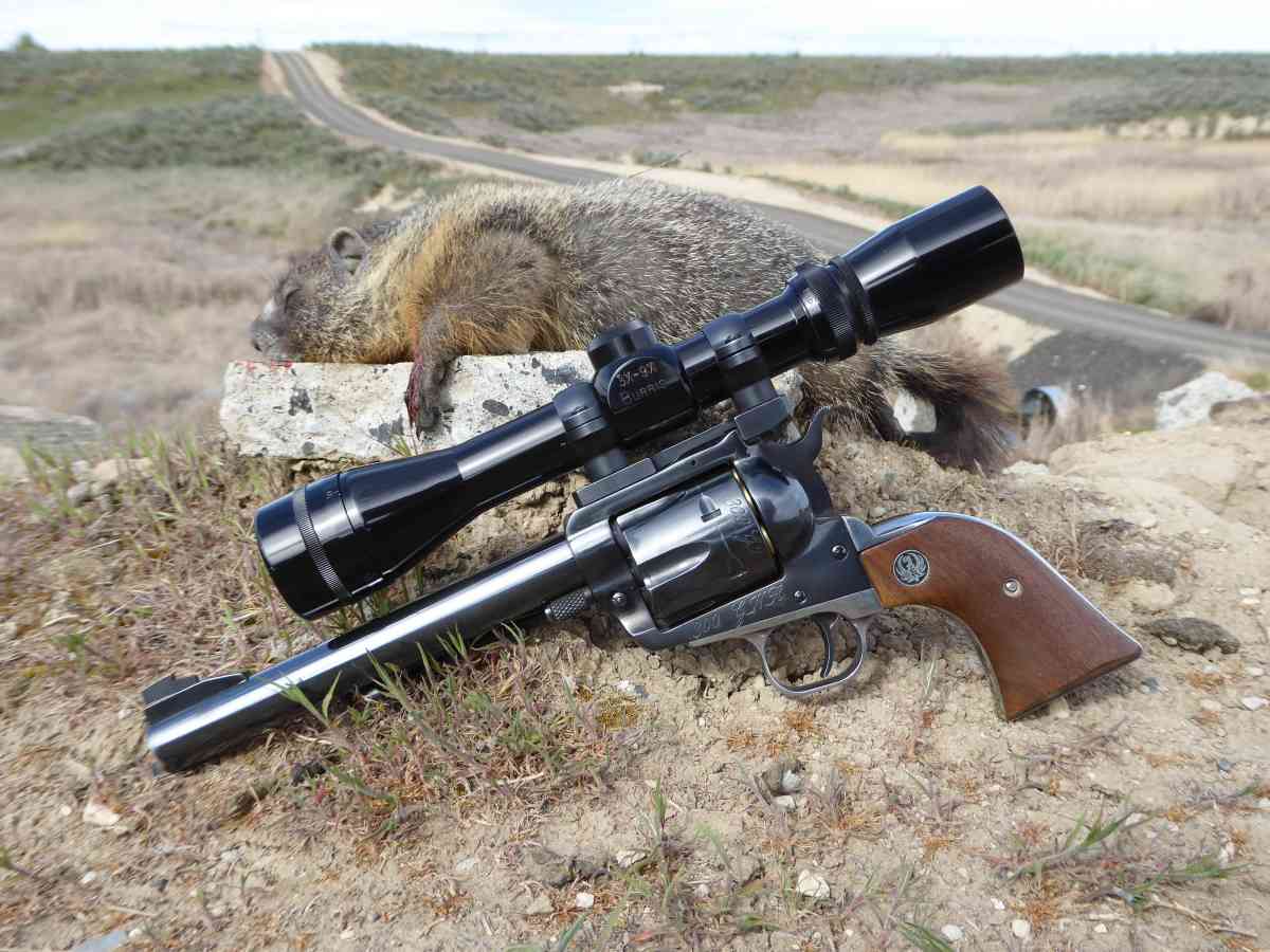 Reeder Custom Guns - First two chucks.