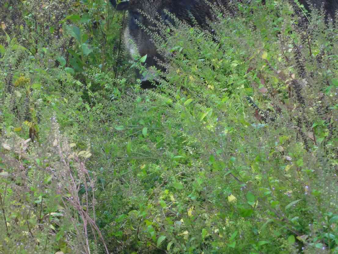 Reeder Custom Guns - QUICK DRAW - How I learned not to shoot myself